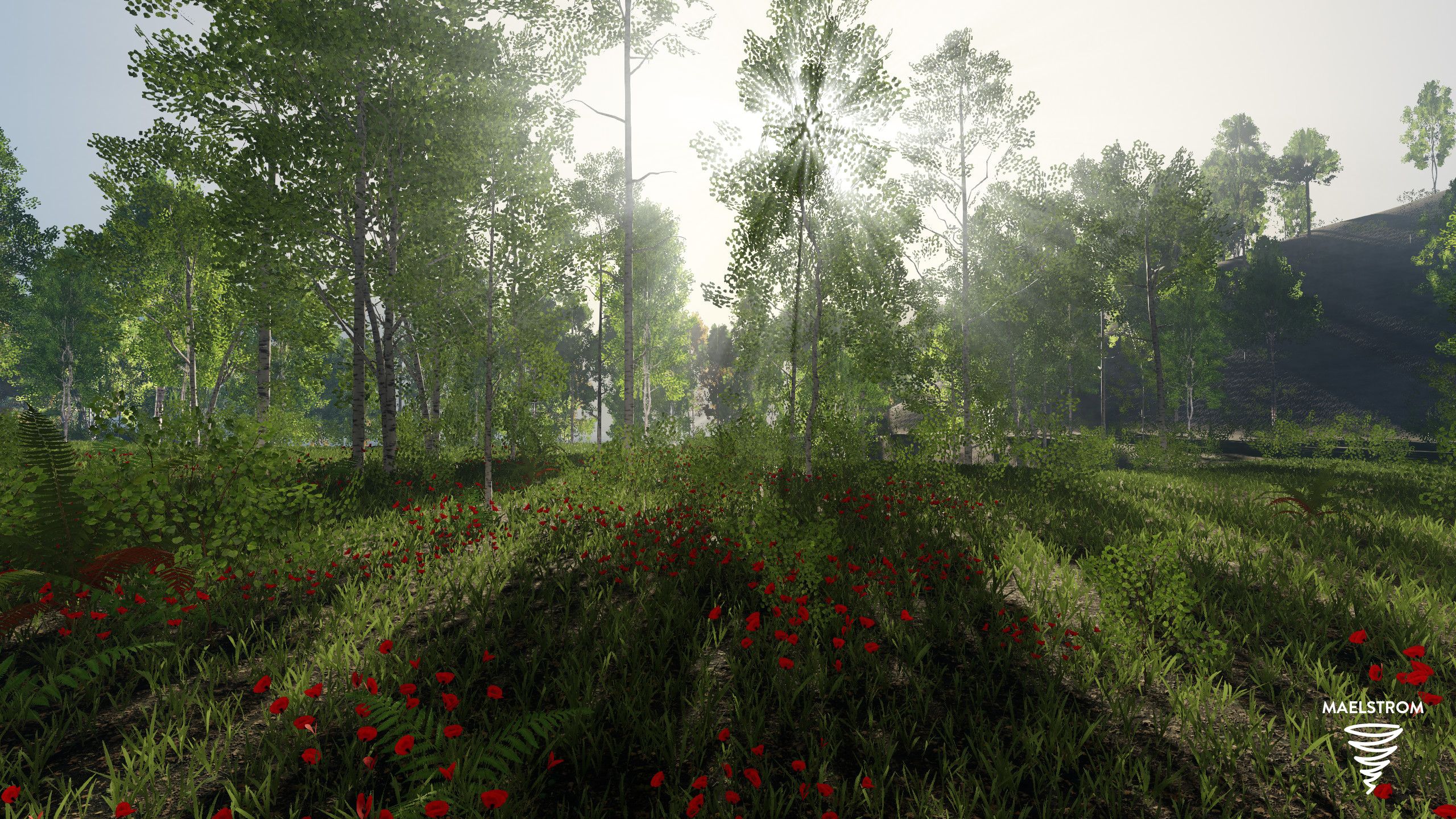 CRYENGINE | Asset Database: Realistic Forest Pack