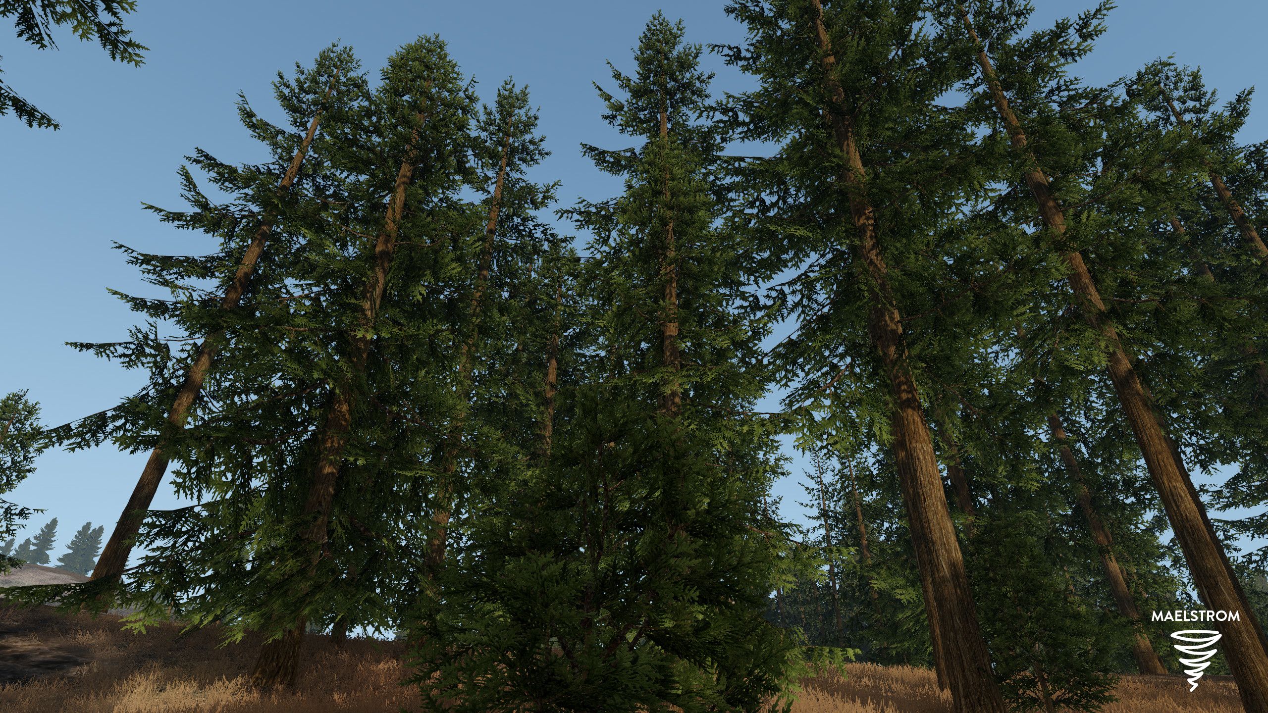 CRYENGINE | Asset Database: Realistic Forest Pack
