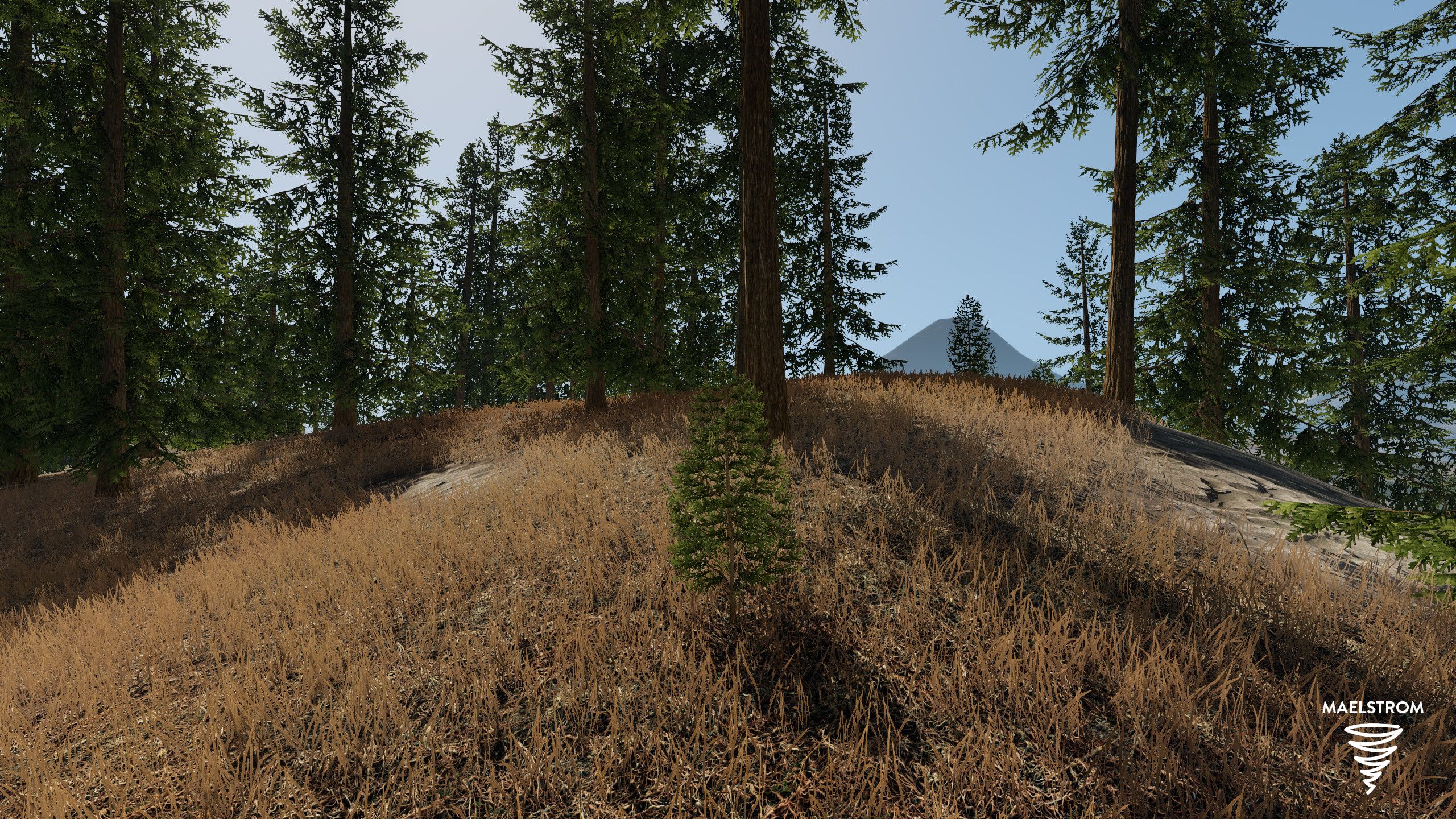 CRYENGINE | Asset Database: Realistic Forest Pack