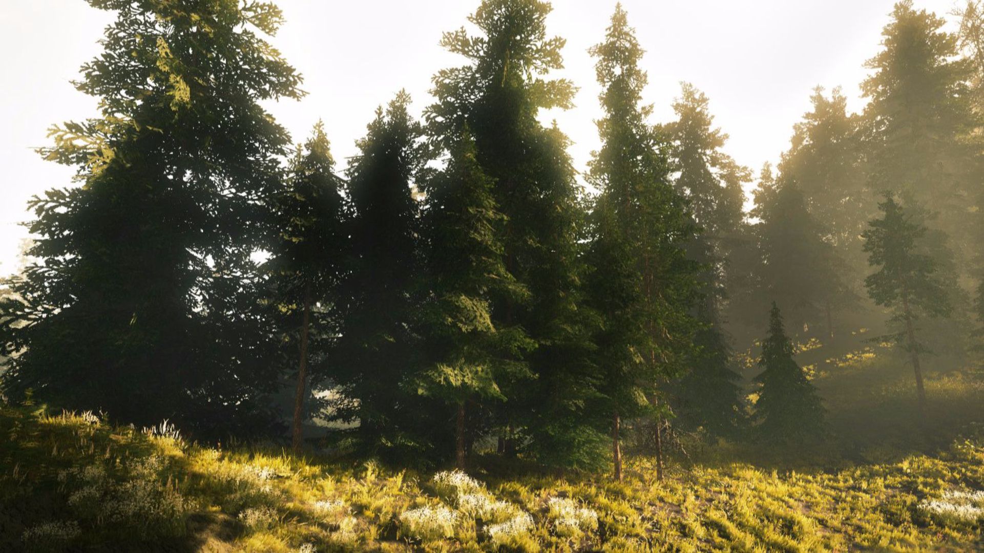 CRYENGINE | Asset Database: Wilderness Assets